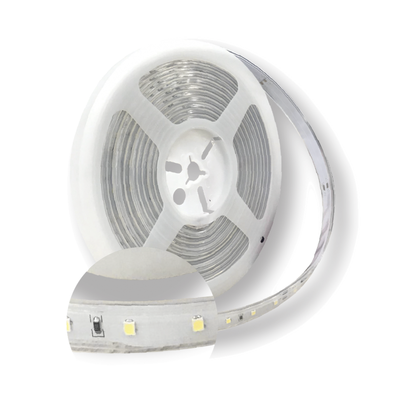 Đèn LED dây Paragon - Paragon