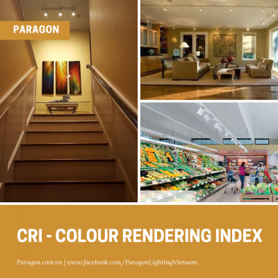 TẠI SAO CRI LẠI QUAN TRỌNG? - Paragon