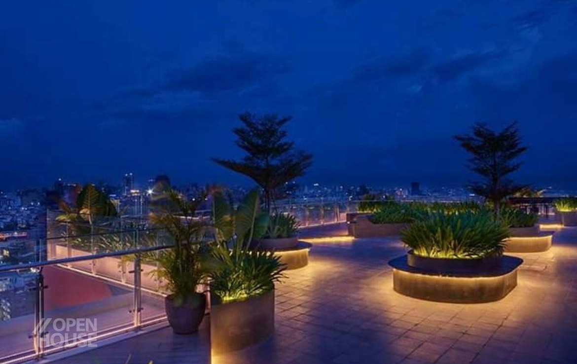 TK Royal One - Paragon