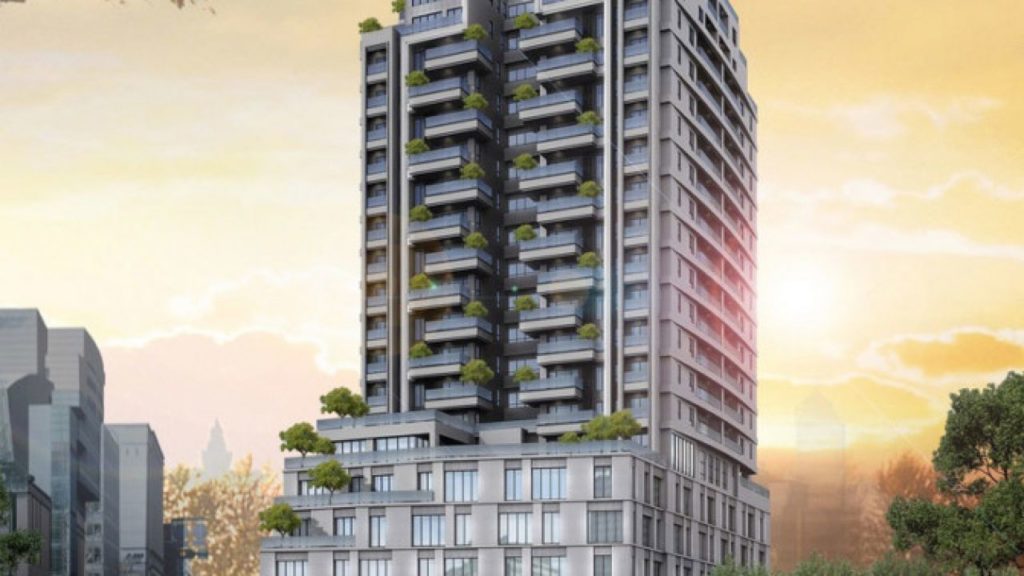 TK Royal One - Paragon