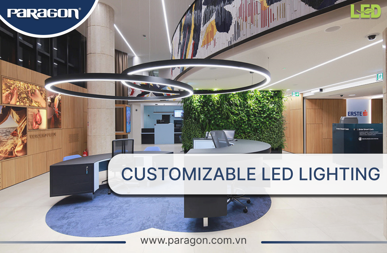 Customizable LED Lighting - Paragon