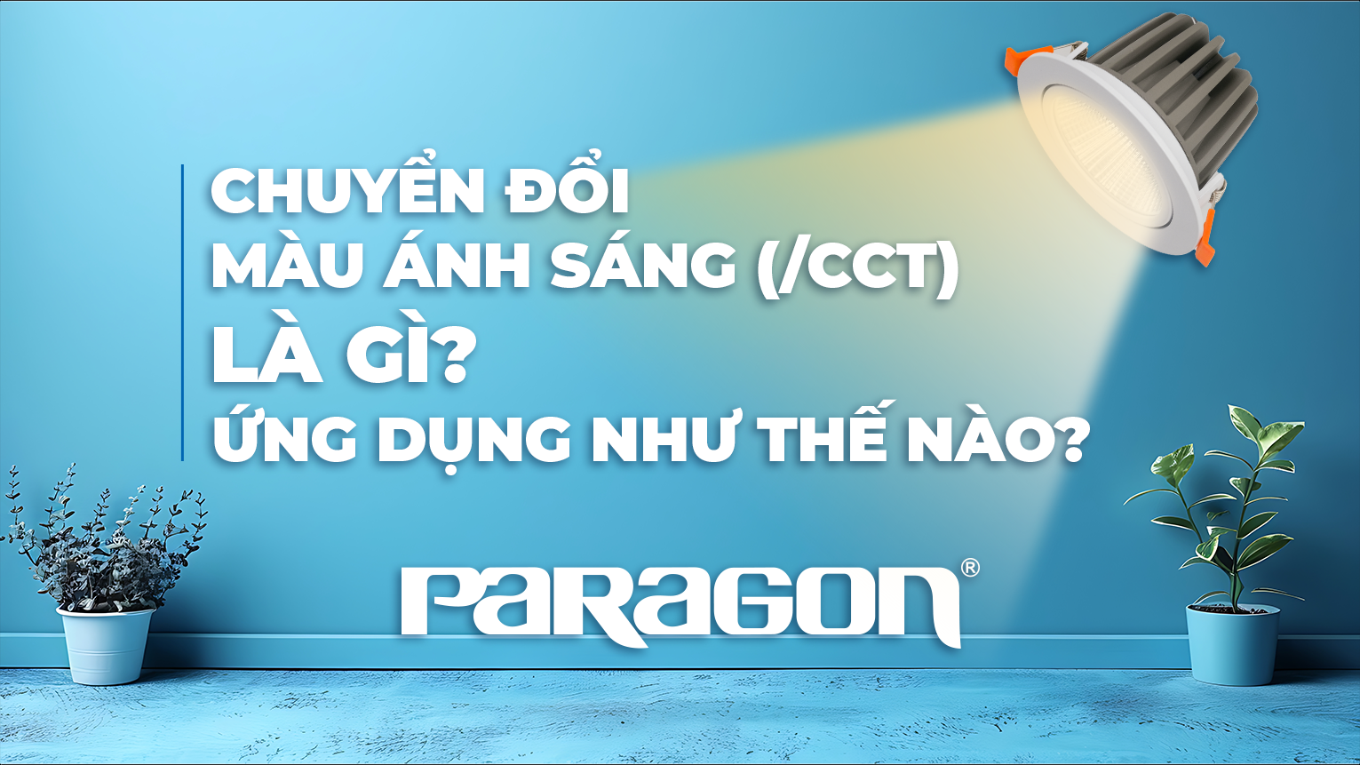 CCT là gì và Cách Hoạt Động như thế nào